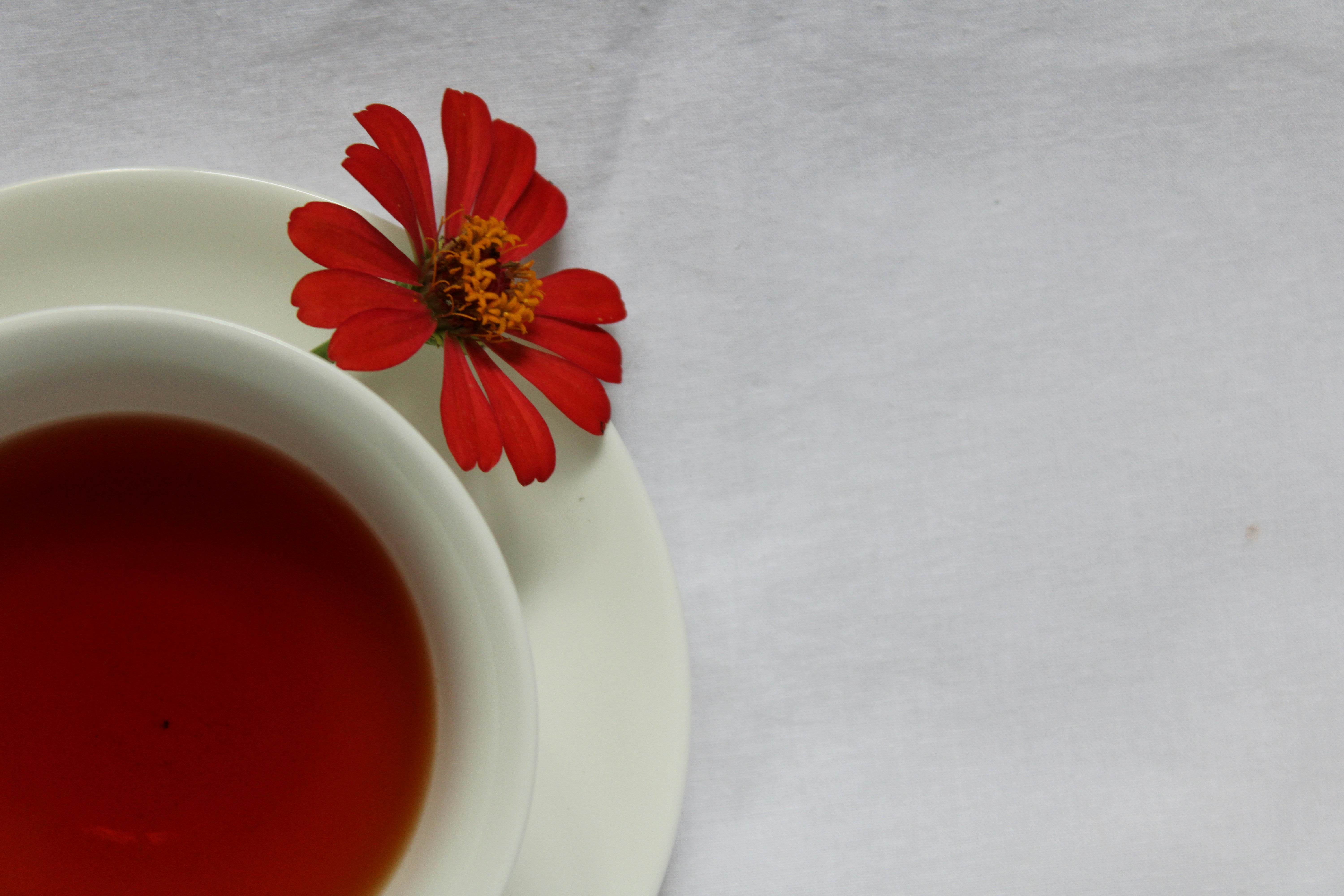 Caffeine in Tea: Complete Comparison Chart (Black, Green, White & More ...